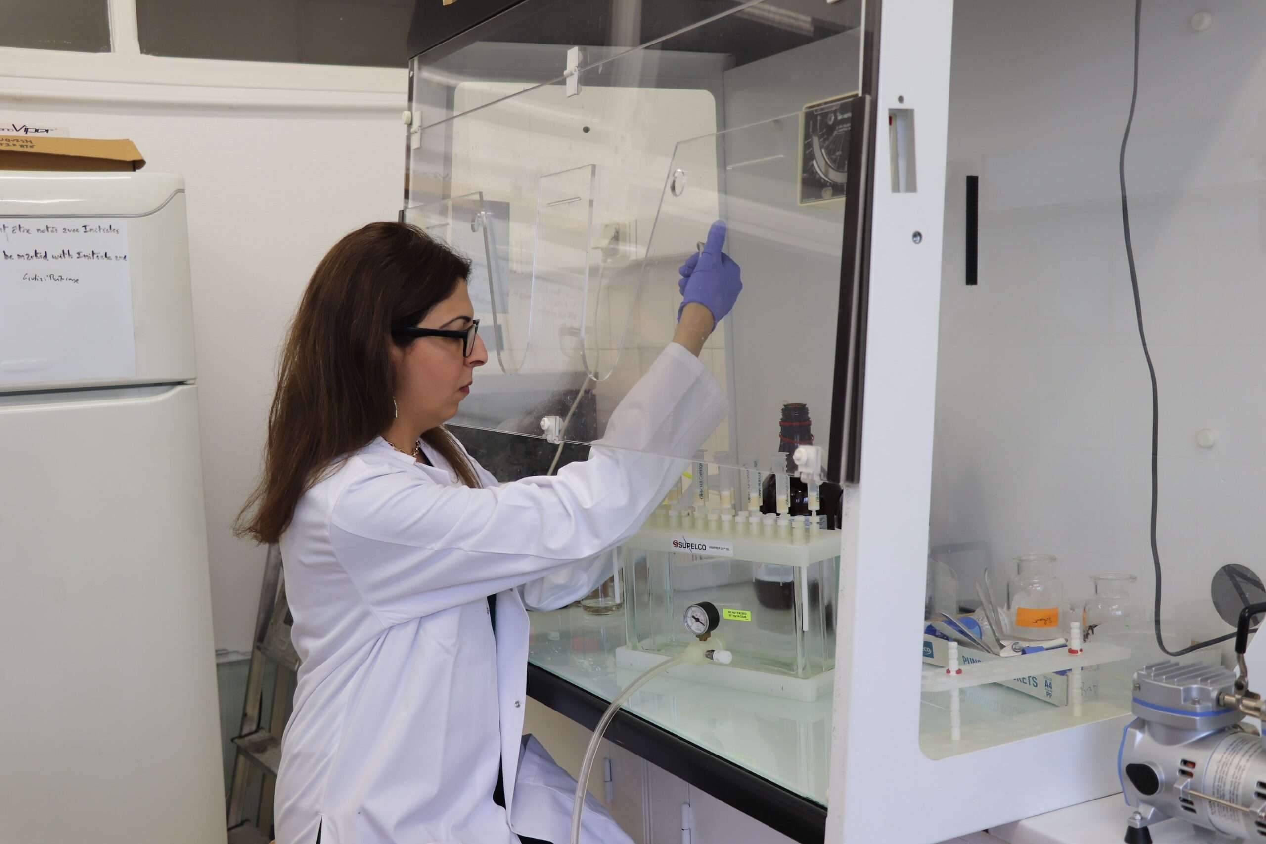 10 new international researchers selected as MAK'IT fellows ...